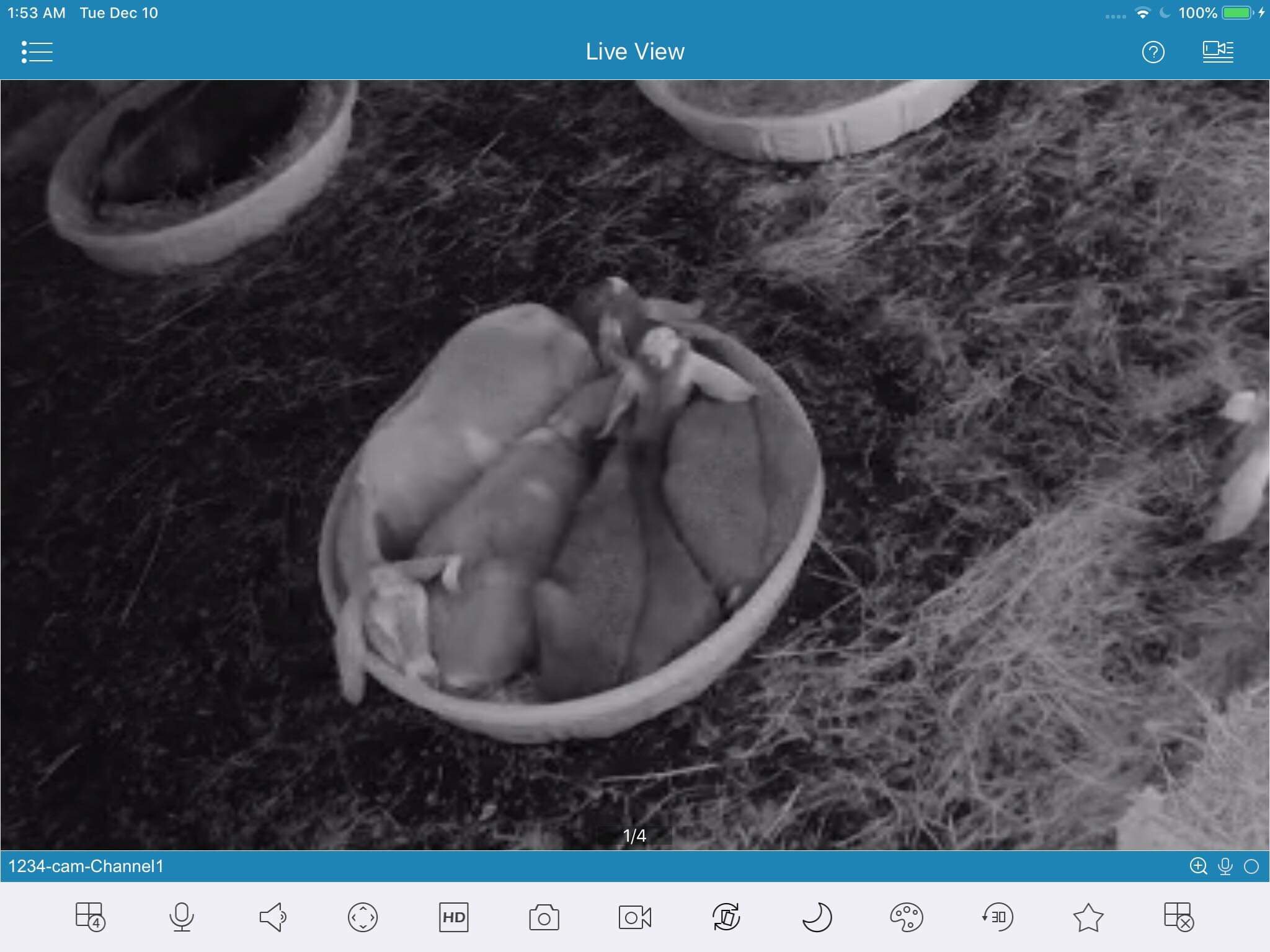 Goat Bunks and Pools – Storybook Farm
