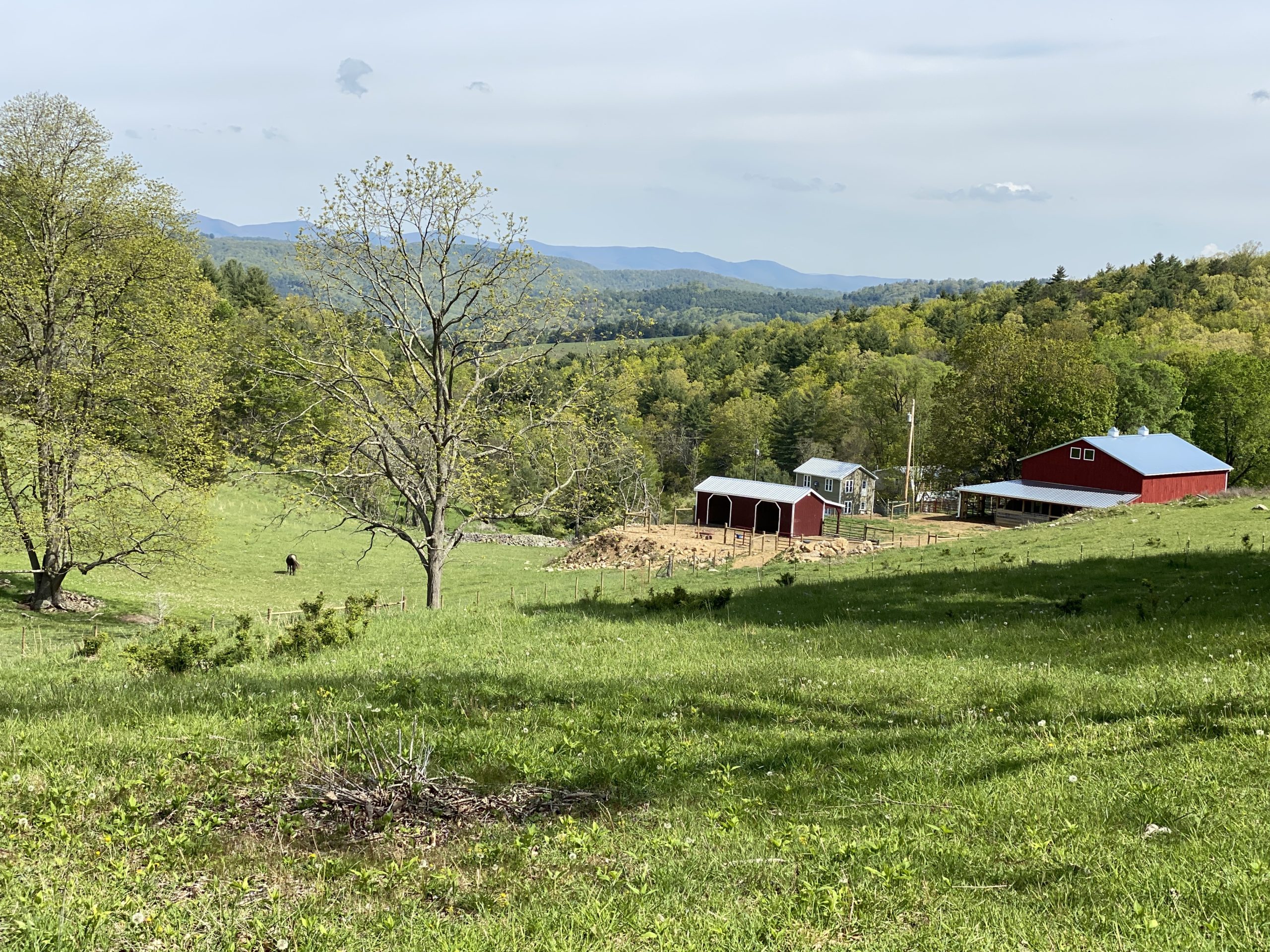 Work Study at Storybook Farm – Storybook Farm